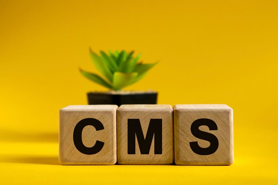 How To Choose Top Cms Platform For Your Australian Business Smartosc